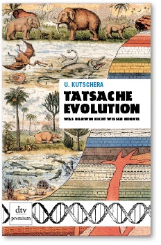 portfolio-buecher-dtv-verlag